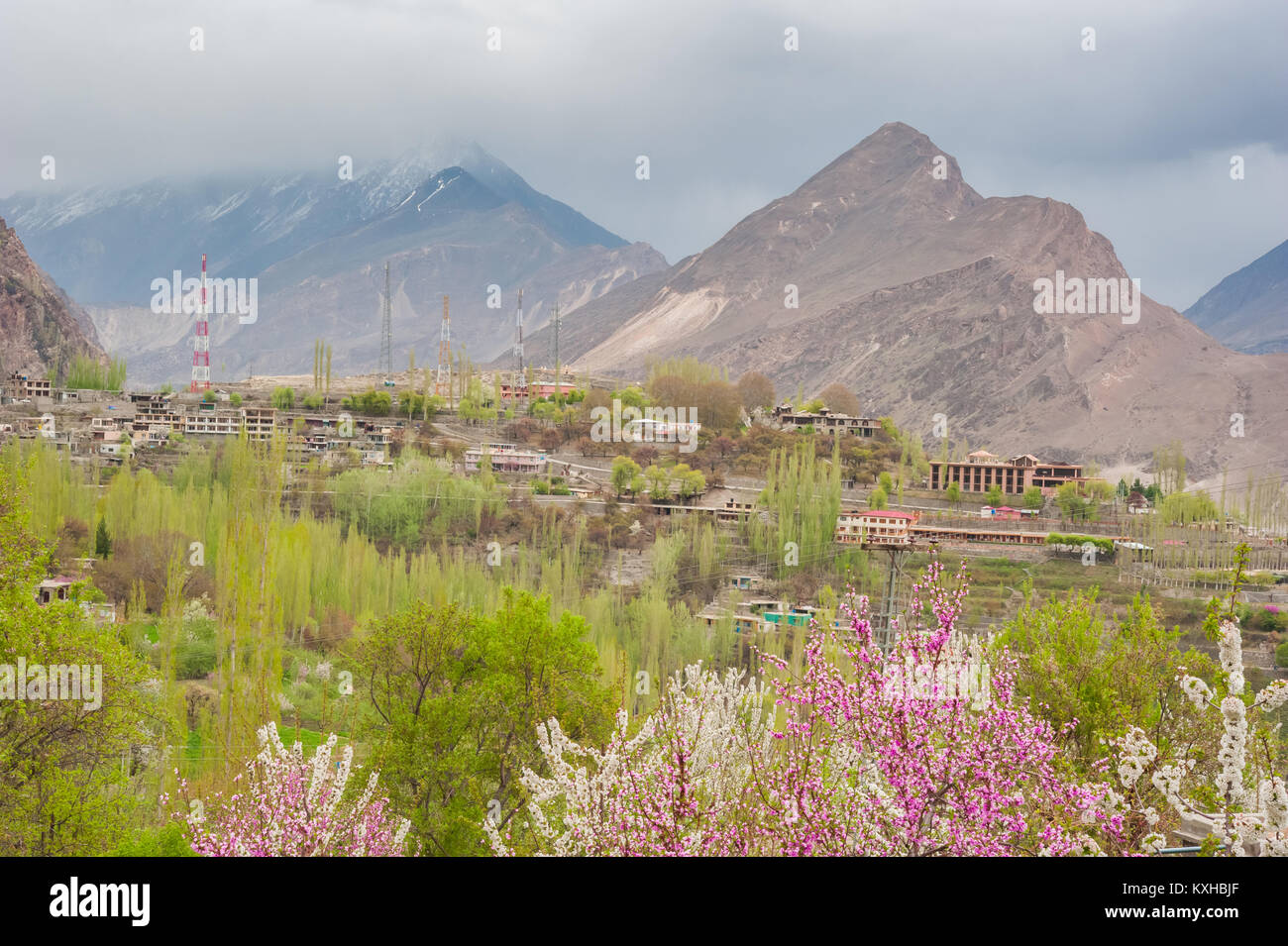 beautiful Landscape of Hunza Valley with Apricot blossom, Northern Area ...