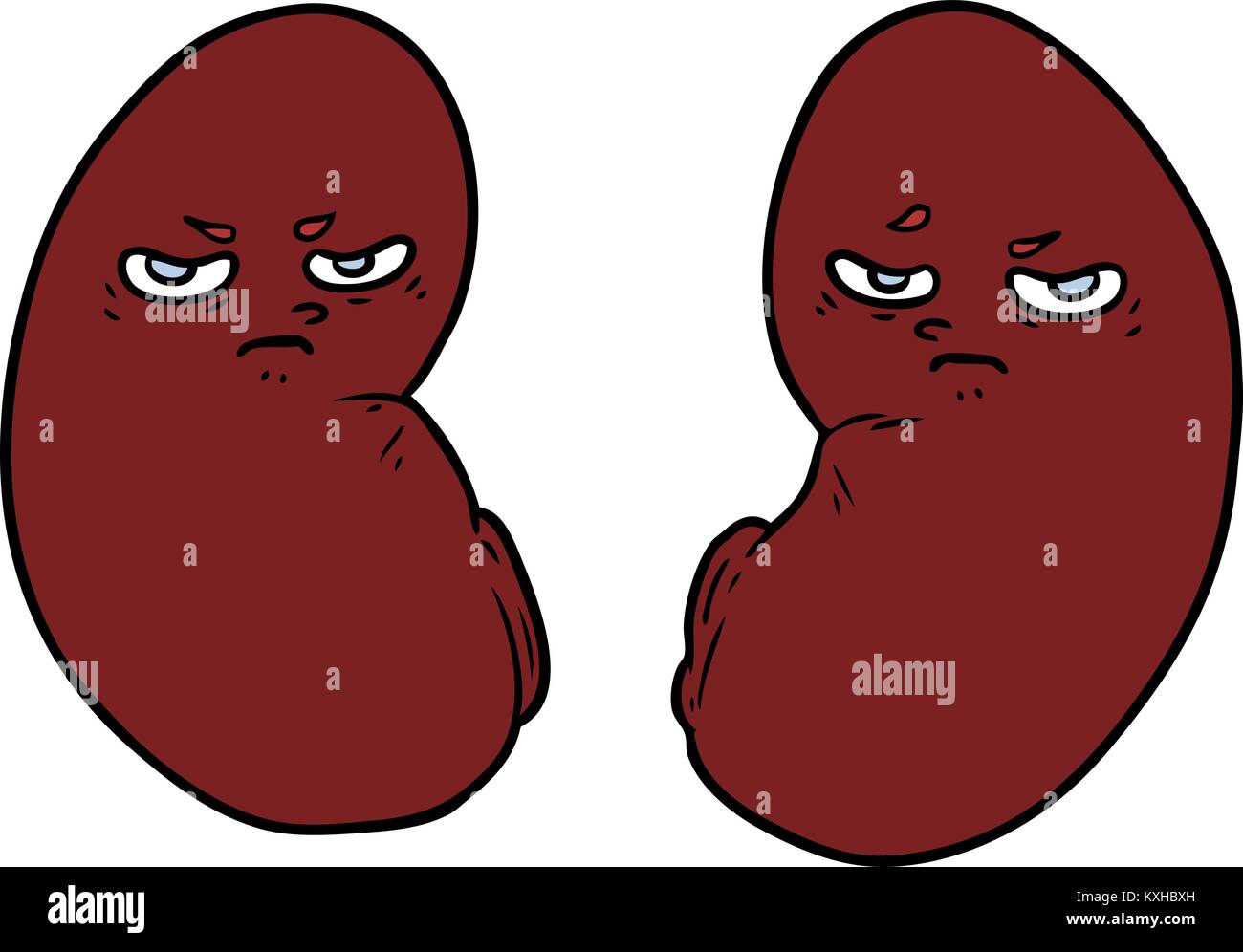 cartoon irritated kidneys Stock Vector Image & Art - Alamy