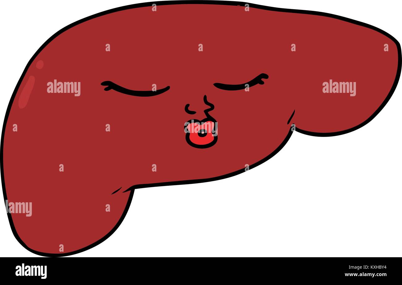 cartoon pretty liver Stock Vector Image & Art - Alamy
