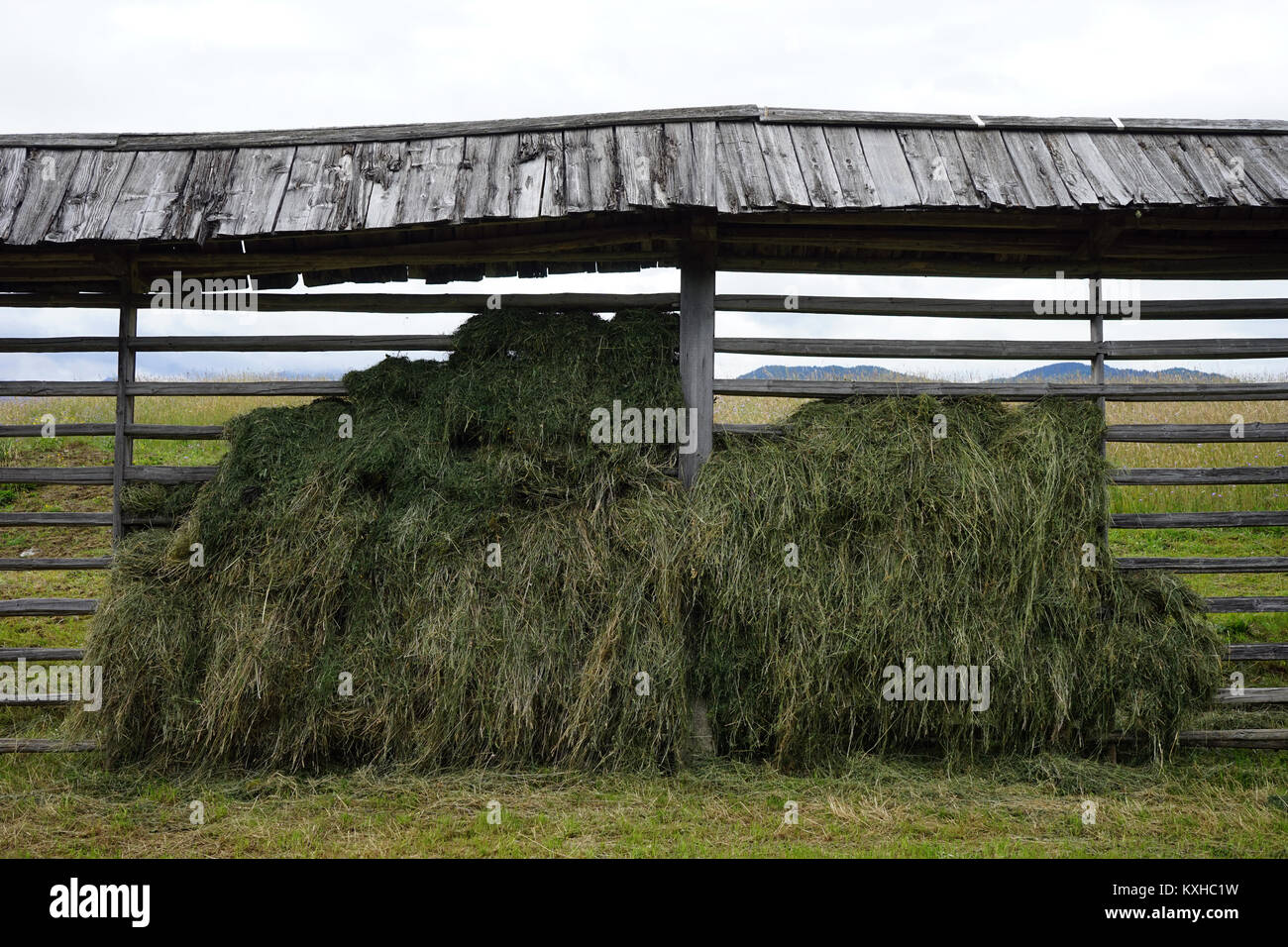 Hay under roof on the farm field in Slovenia Stock Photo - Alamy