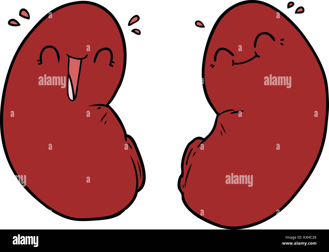 cartoon happy kidneys Stock Vector Image & Art - Alamy