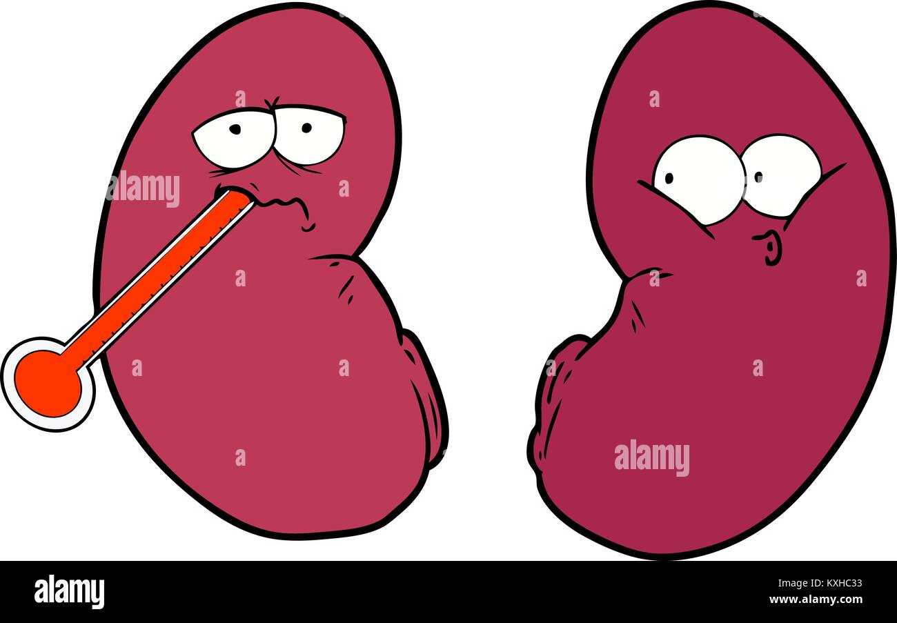 cartoon unhealthy kidney Stock Vector Image & Art - Alamy