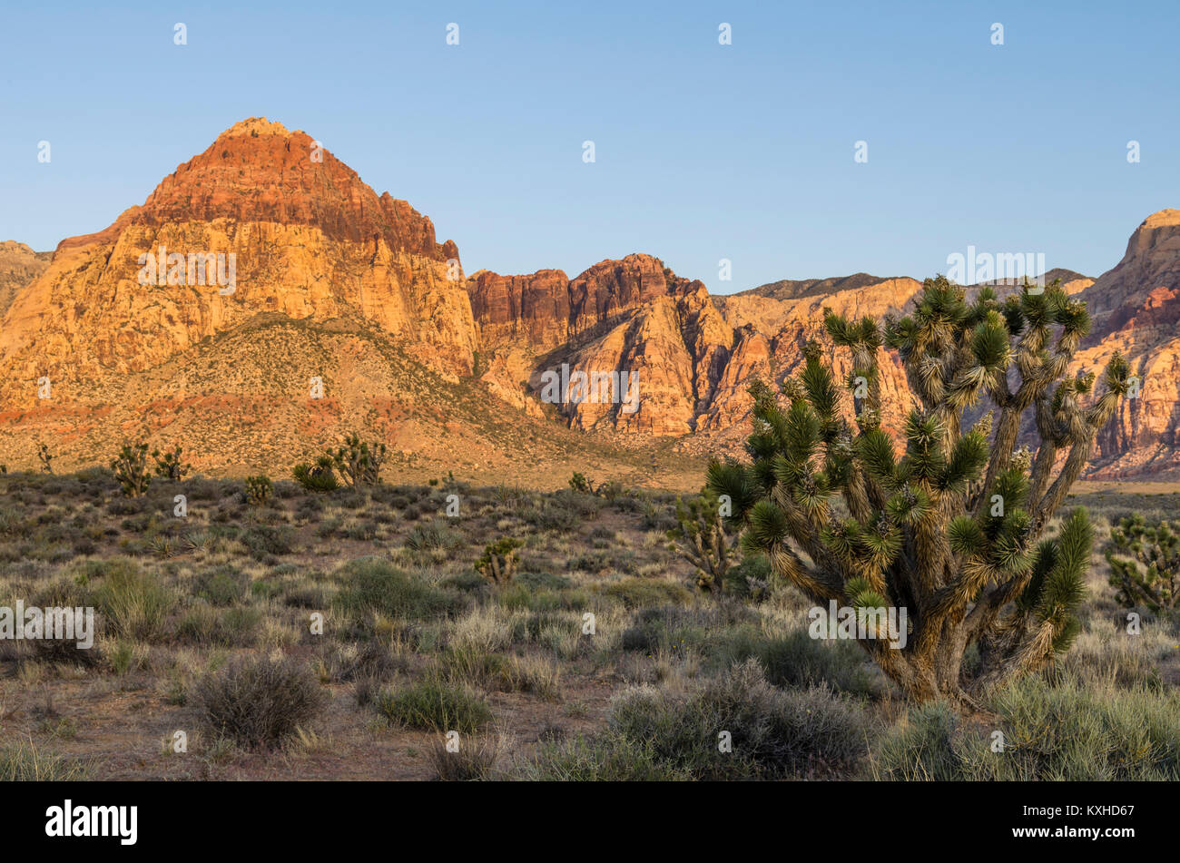 View of the red rock cliffs in Red Rock Canyon National Conservation ...