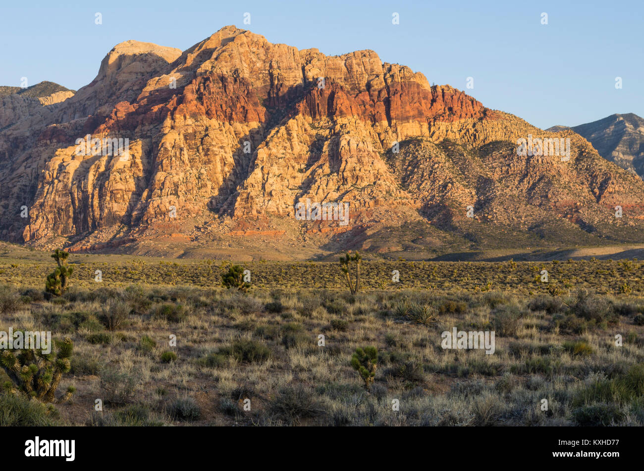 View of the red rock cliffs in Red Rock Canyon National Conservation ...