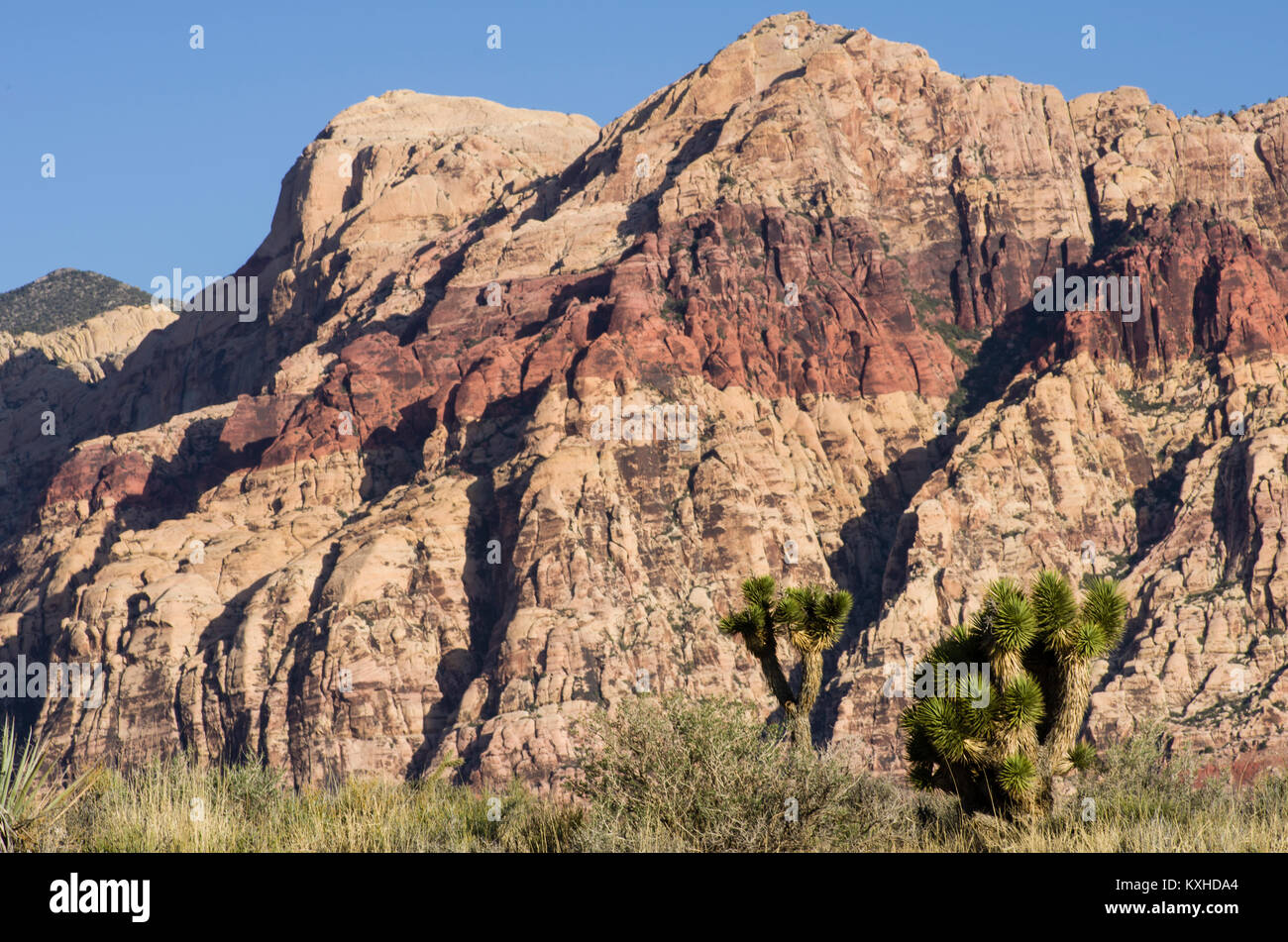 View of the red rock cliffs in Red Rock Canyon National Conservation ...
