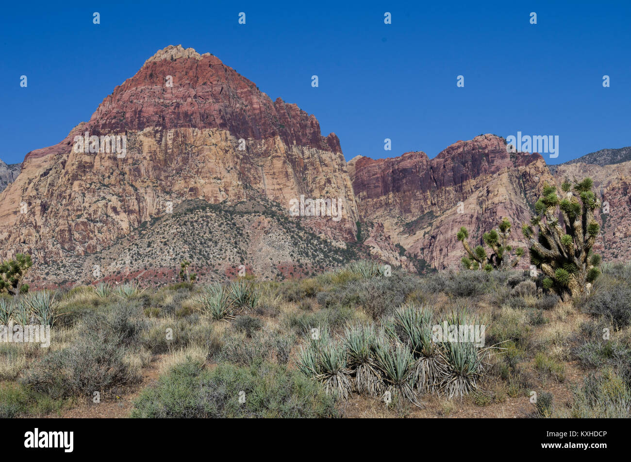 View of the red rock cliffs in Red Rock Canyon National Conservation ...