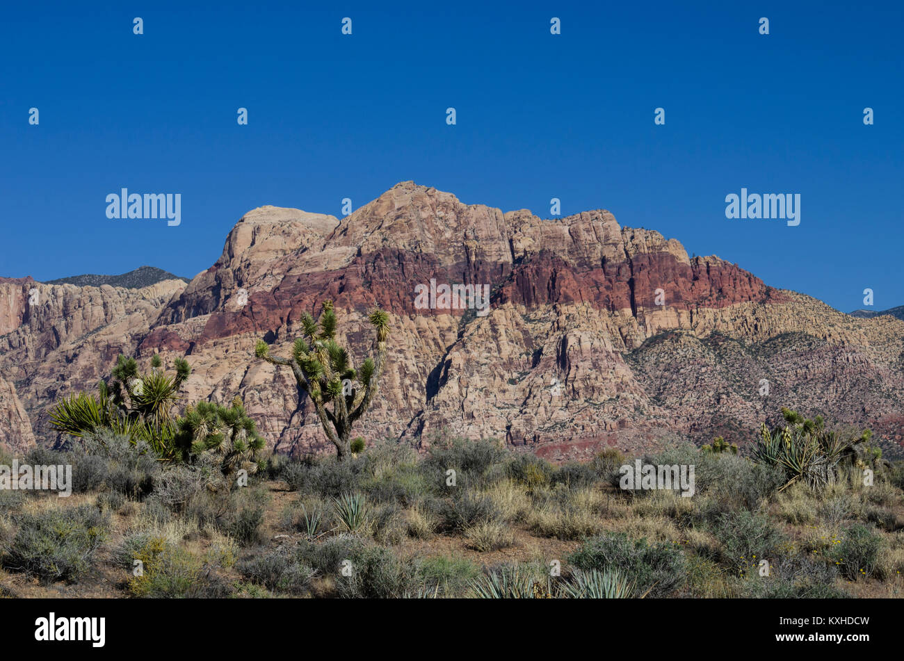 View of the red rock cliffs in Red Rock Canyon National Conservation ...