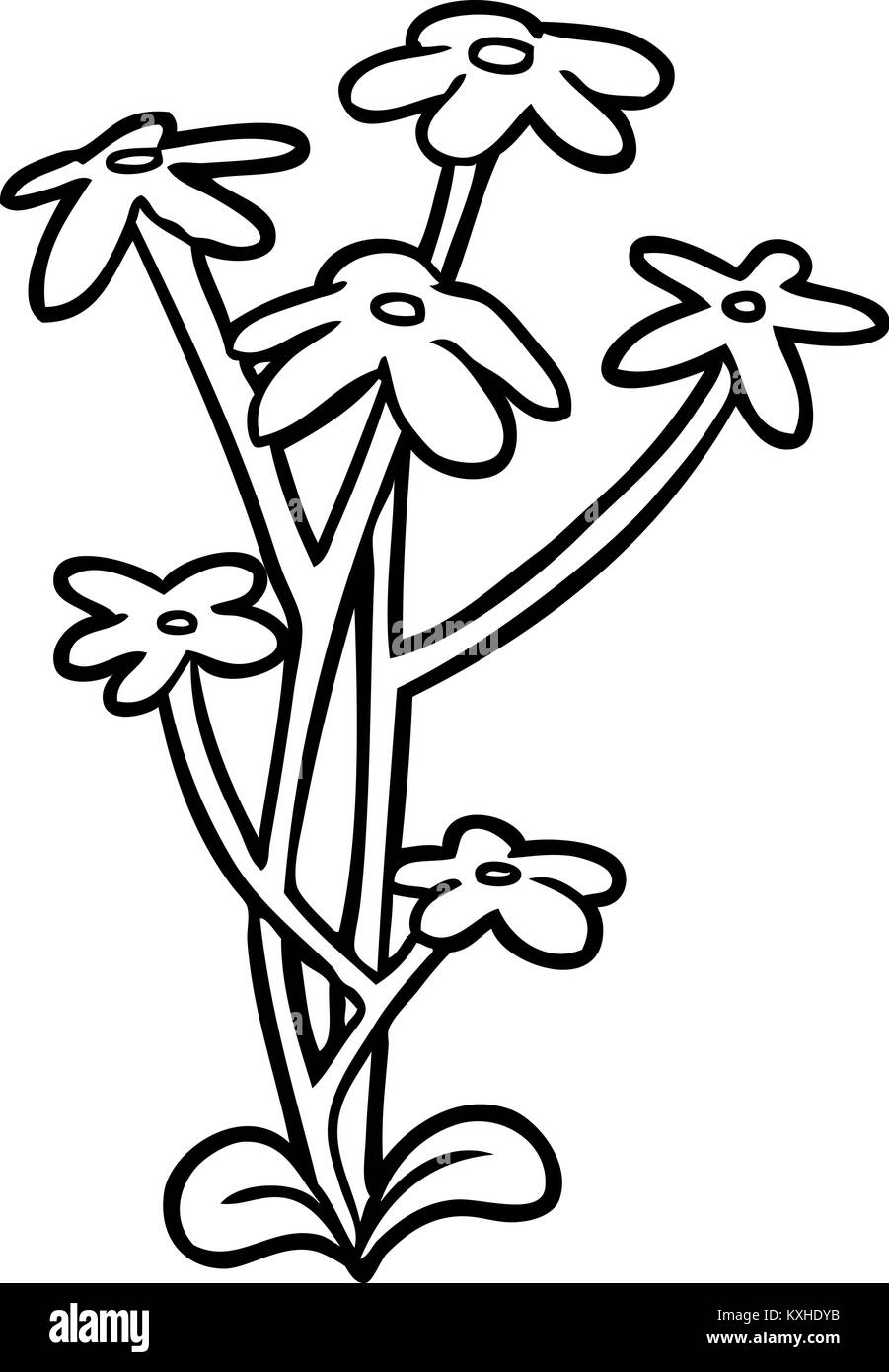 line drawing of a flower Stock Vector Image & Art - Alamy
