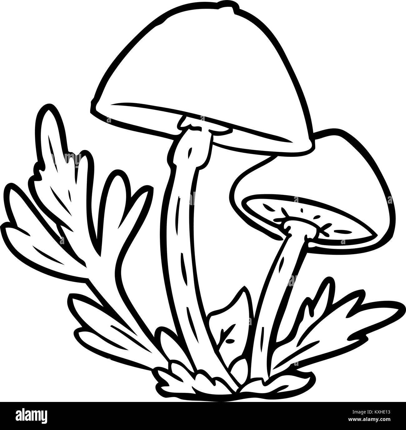 line drawing of a wild mushrooms Stock Vector Image & Art - Alamy