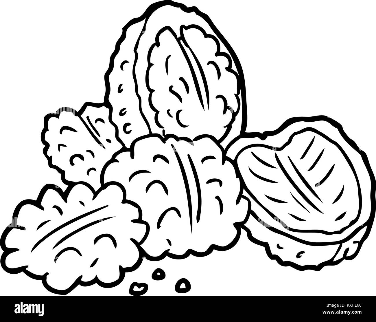 Walnuts shells Black and White Stock Photos & Images - Alamy