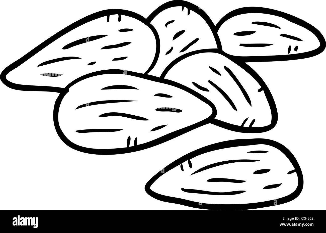 Line Drawing Of A Almonds Stock Vector Image And Art Alamy