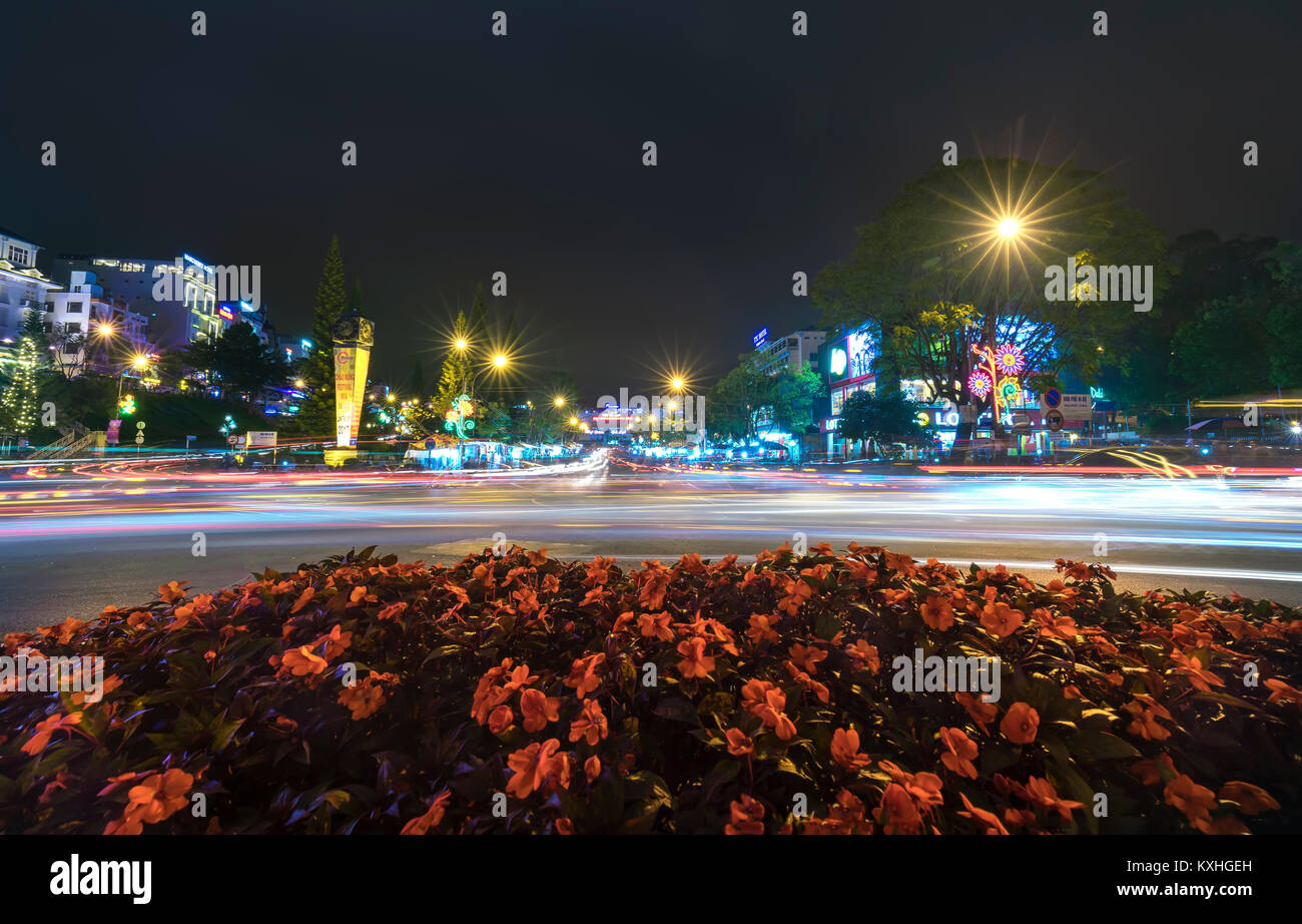 Garden flower city in afternoon sunshine, here is a gallery of types of ...