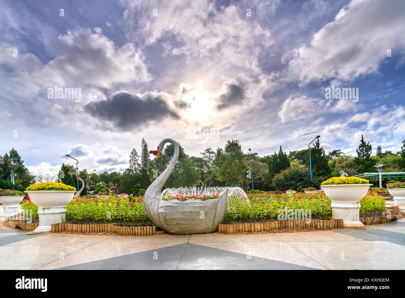 Garden flower city in afternoon sunshine, here is a gallery of types of ...