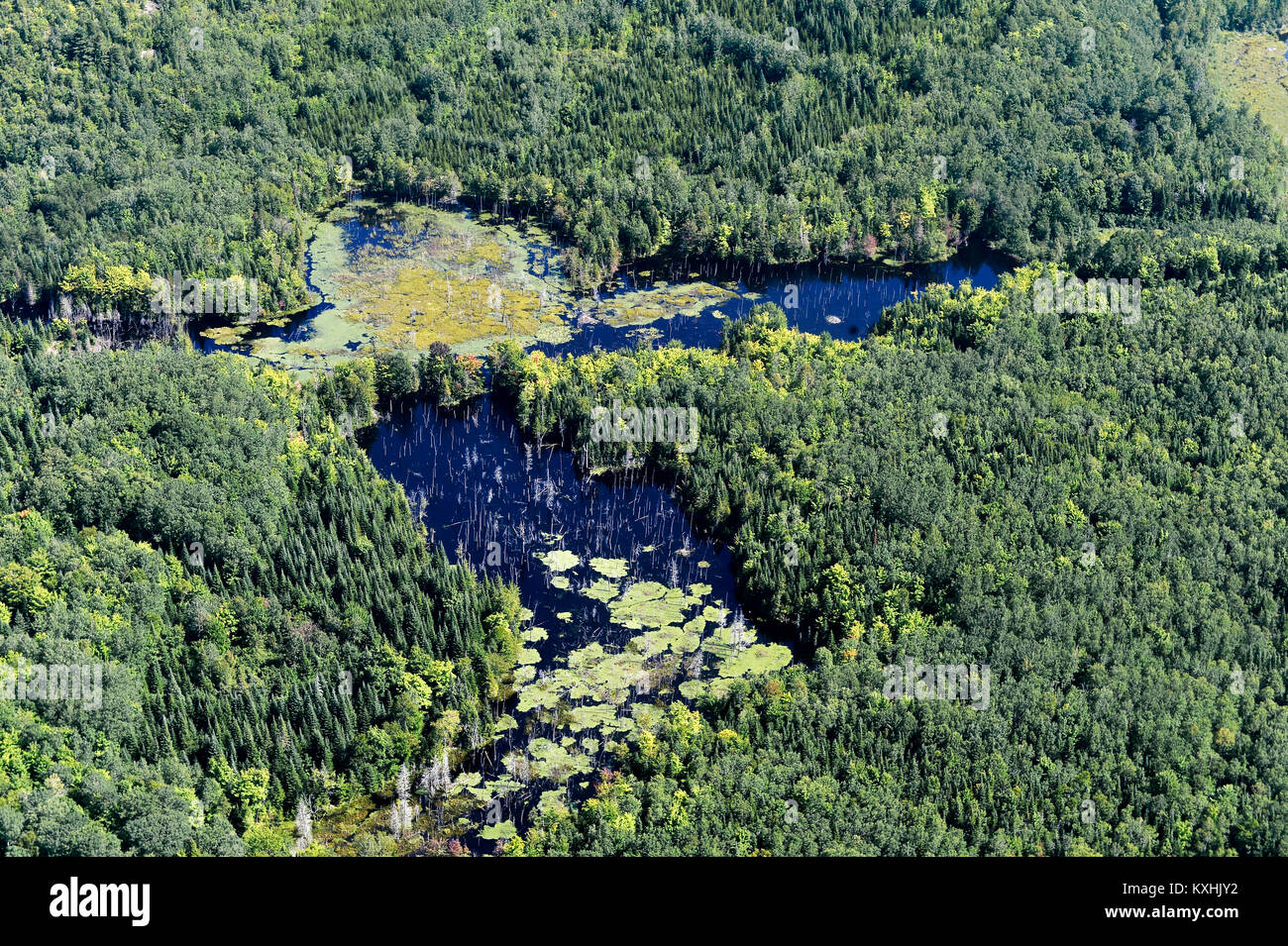 Image of an air canada plane hi-res stock photography and images - Alamy