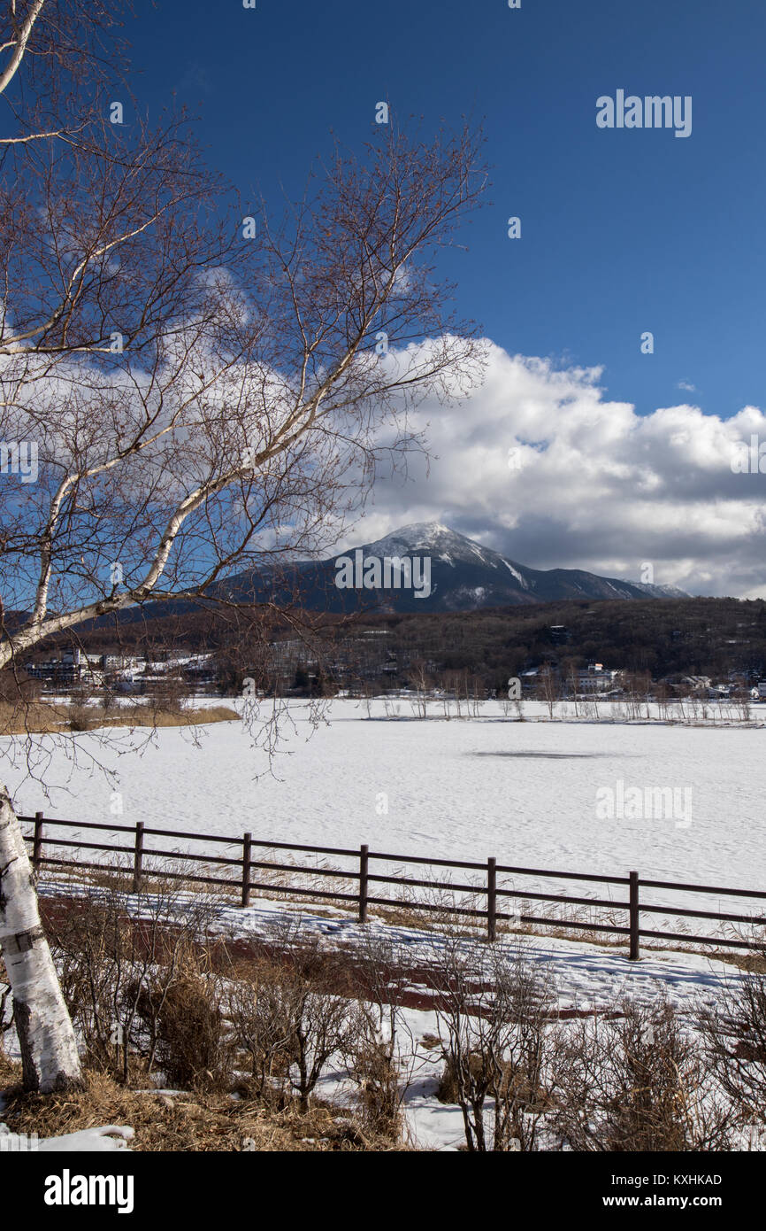 Japan has a lot of significant farms in the countryside. People can try ...