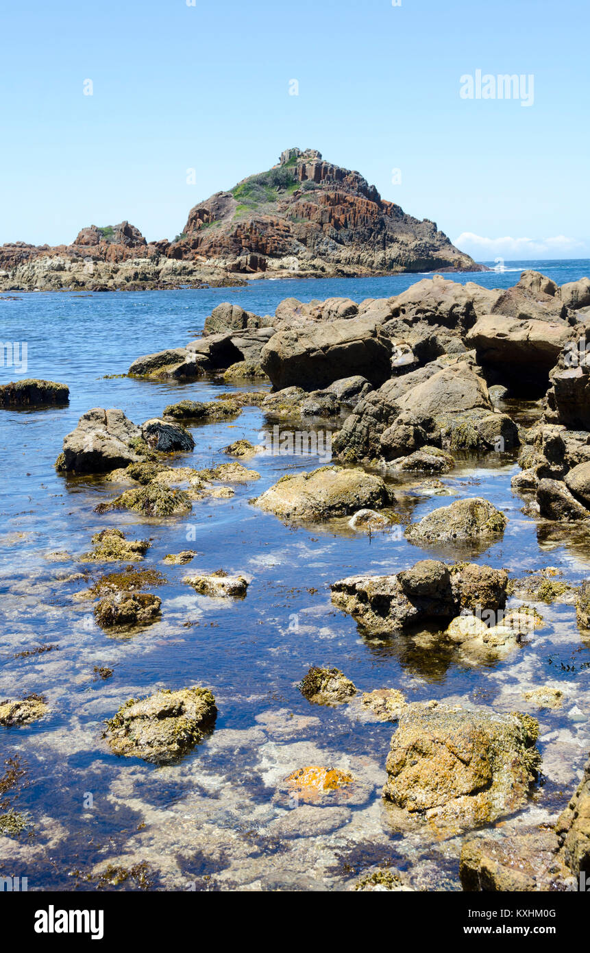 Mimosa rocks hi-res stock photography and images - Alamy