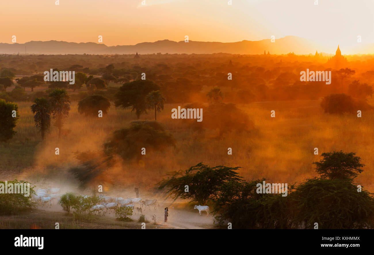 Myanmar village bagan village hi-res stock photography and images - Alamy