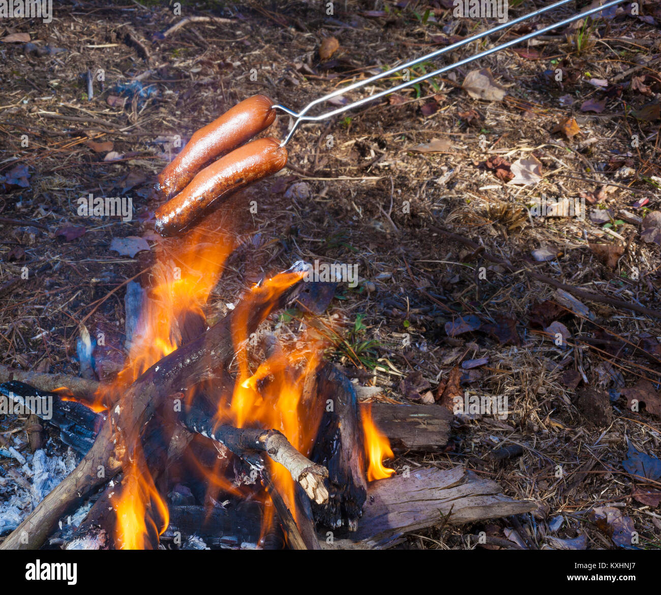 Pair of hot dogs starting to burn over a small campfire Stock Photo - Alamy