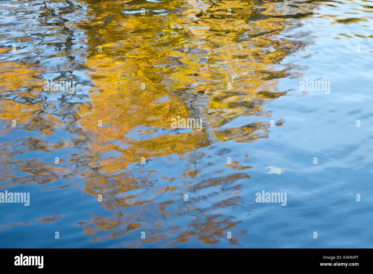Autumn leaves reflection in the water Stock Photo - Alamy