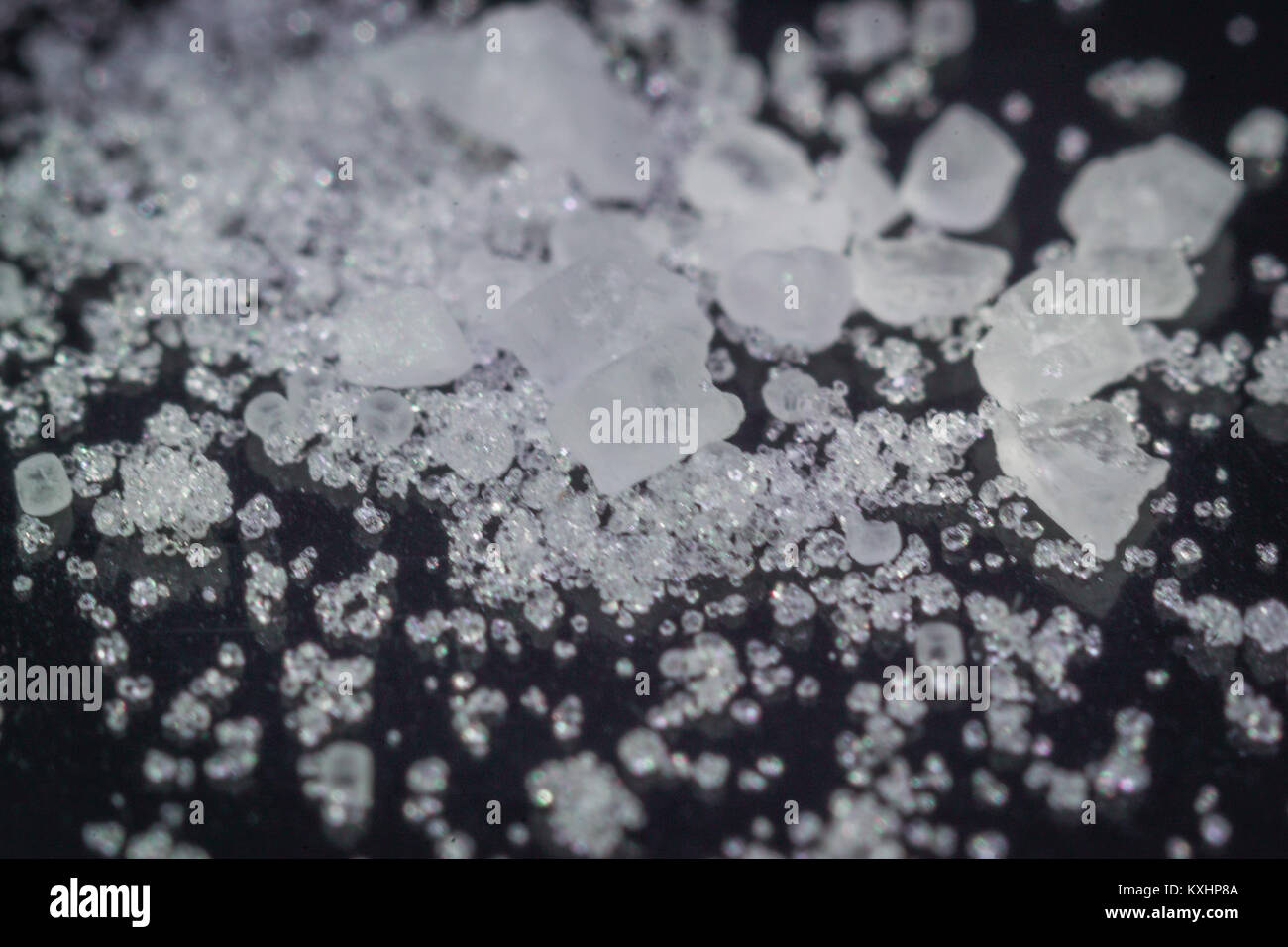 Microscopic photos hi-res stock photography and images - Alamy