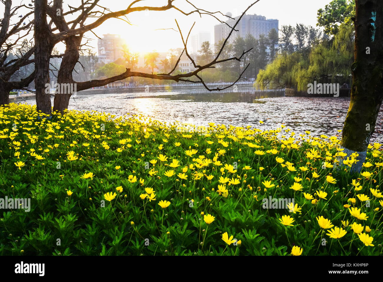 Beautiful spring landscape famous flower garden with blooming flowers ...