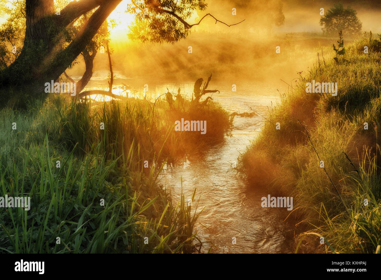 Sun rays. a picturesque foggy morning. spring dawn Stock Photo - Alamy