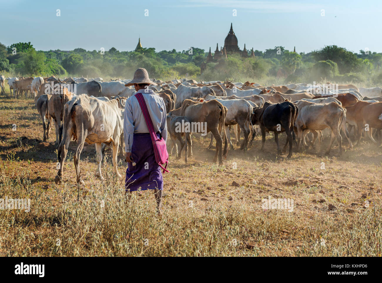 Myanmar village bagan village hi-res stock photography and images - Alamy