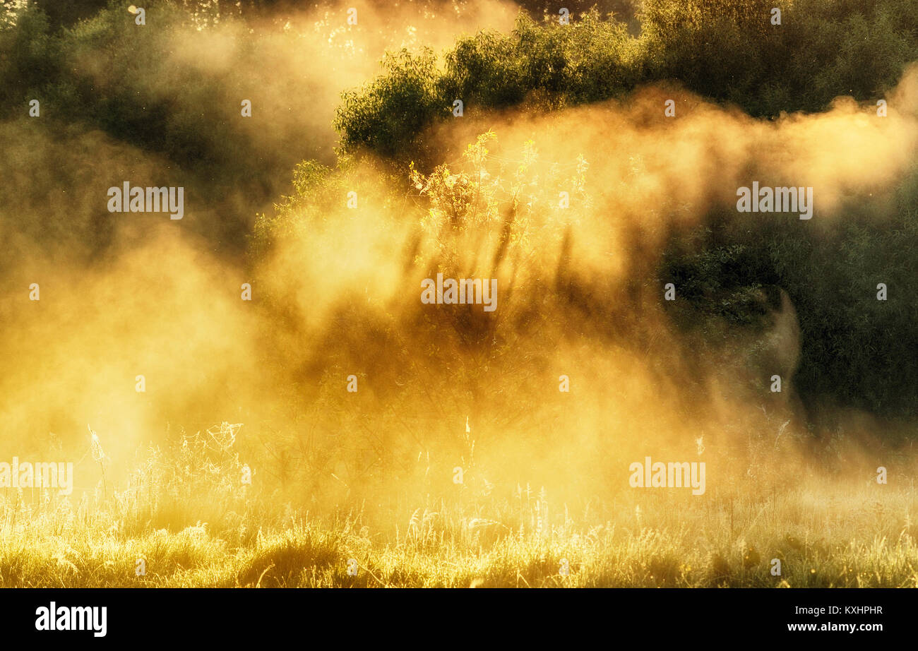 Sun rays. a picturesque foggy morning. spring dawn Stock Photo - Alamy
