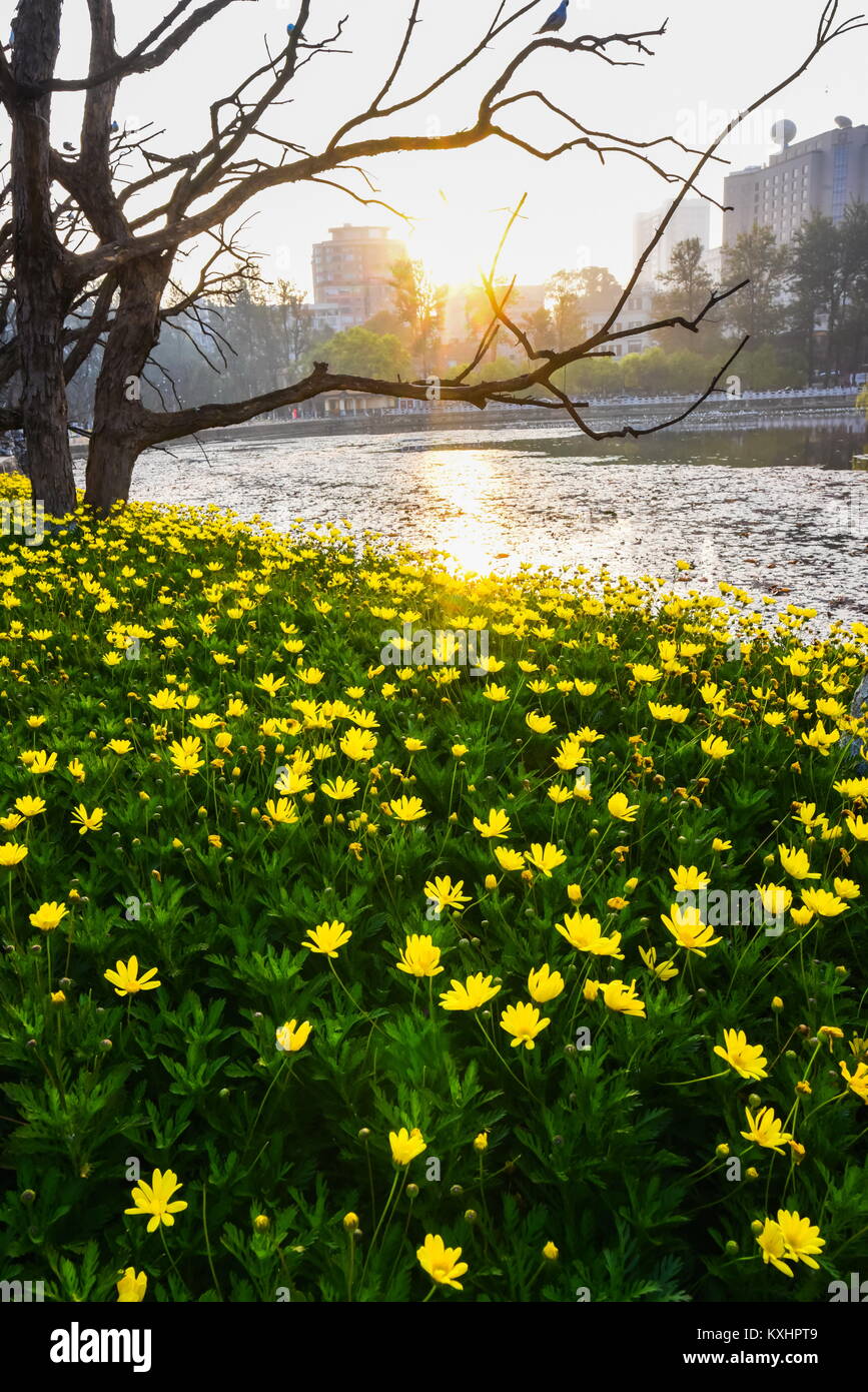 Beautiful spring landscape famous flower garden with blooming flowers ...