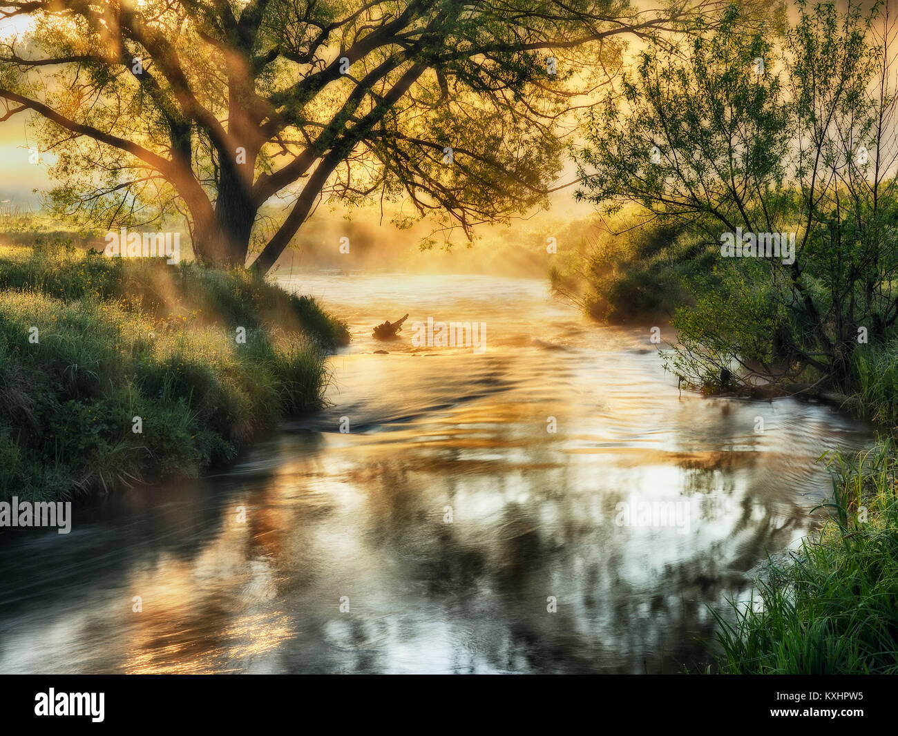 Sun rays. a picturesque foggy morning. spring dawn Stock Photo - Alamy