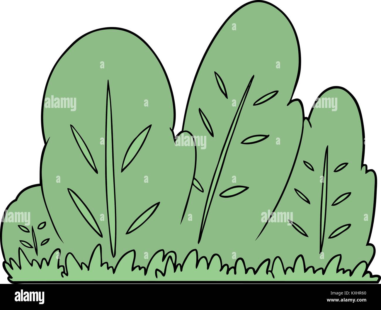 Hedgerow plants Stock Vector Images - Alamy