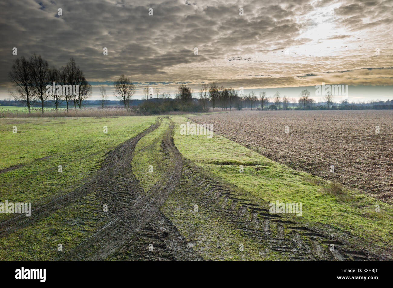 Diverging path hi-res stock photography and images - Alamy