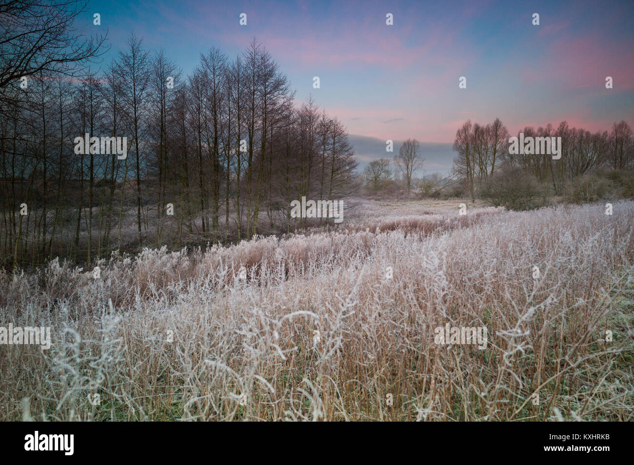 Frosty scene hi-res stock photography and images - Alamy