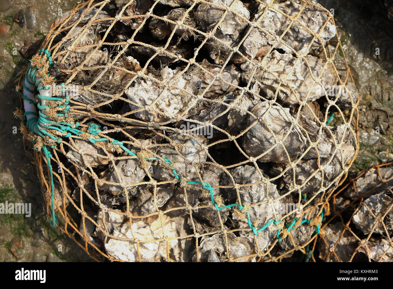 Bundled nets hi-res stock photography and images - Alamy