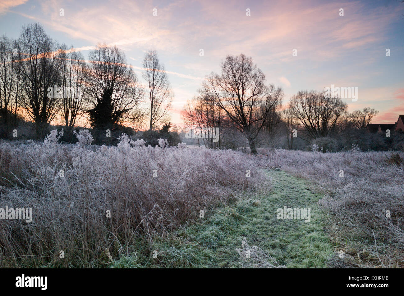 Frosty scene hi-res stock photography and images - Alamy