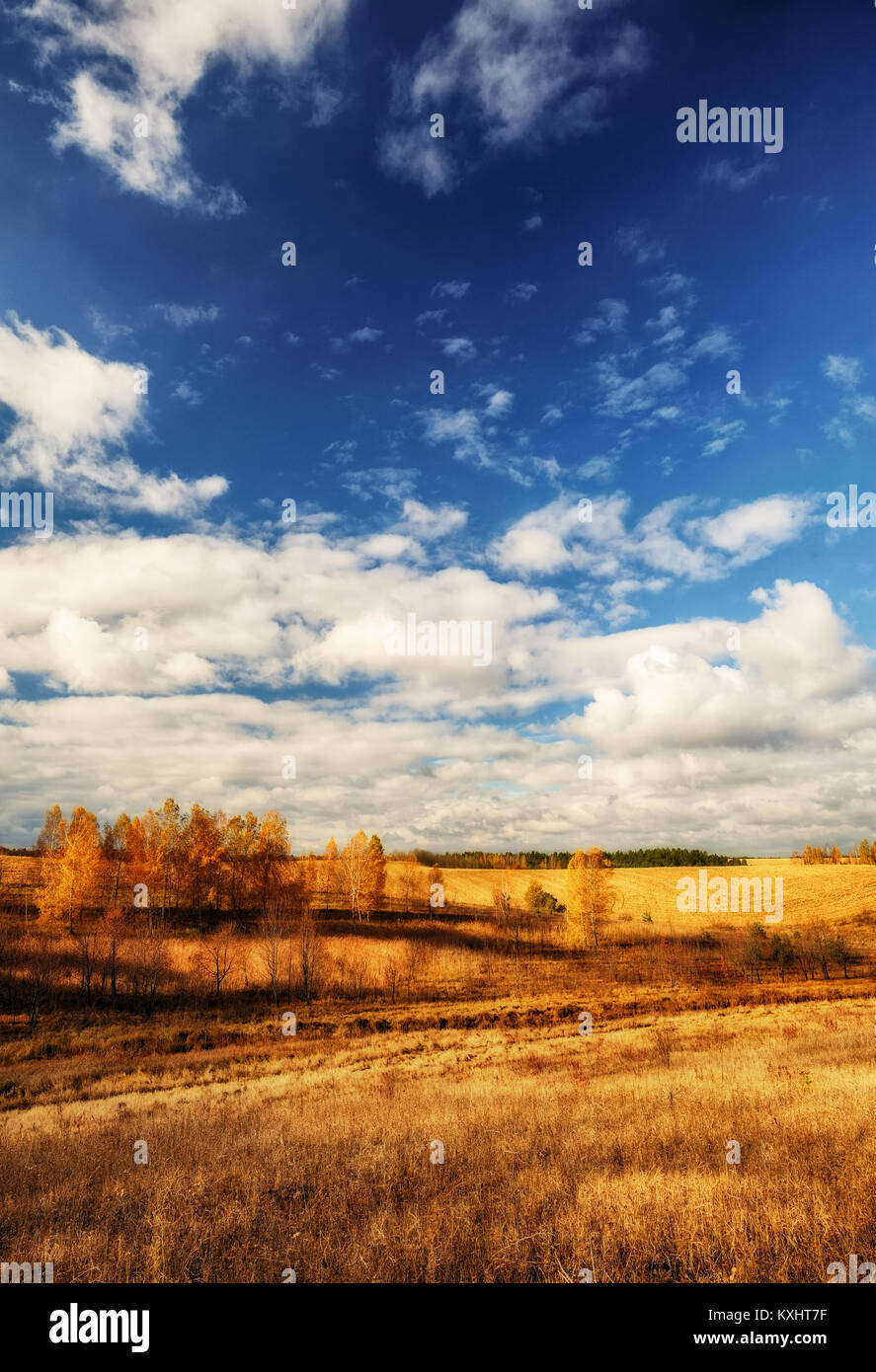 autumn field. trees against the backdrop of the picturesque sky Stock ...