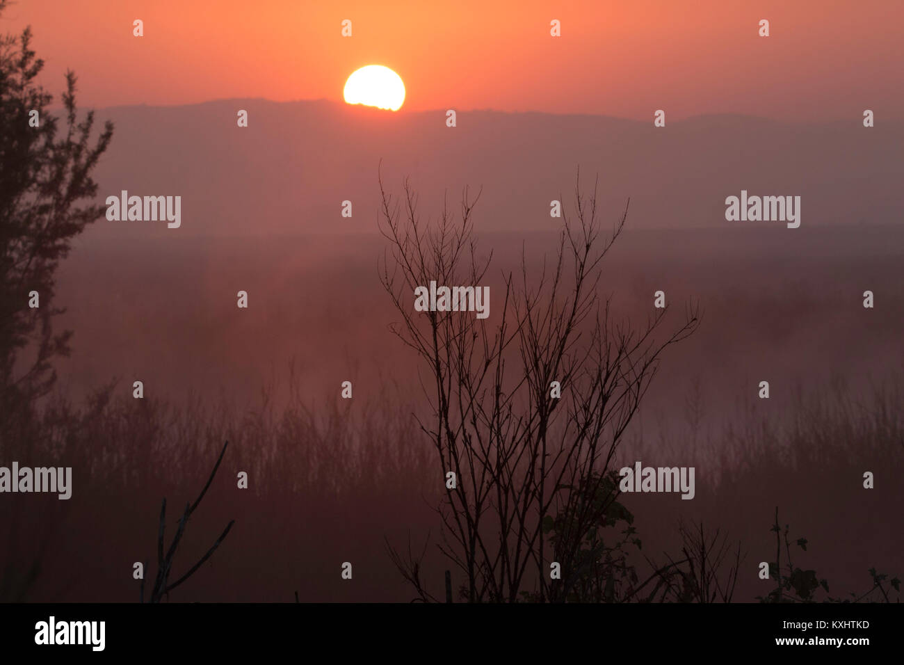 Sunrise over swamp Stock Photo - Alamy