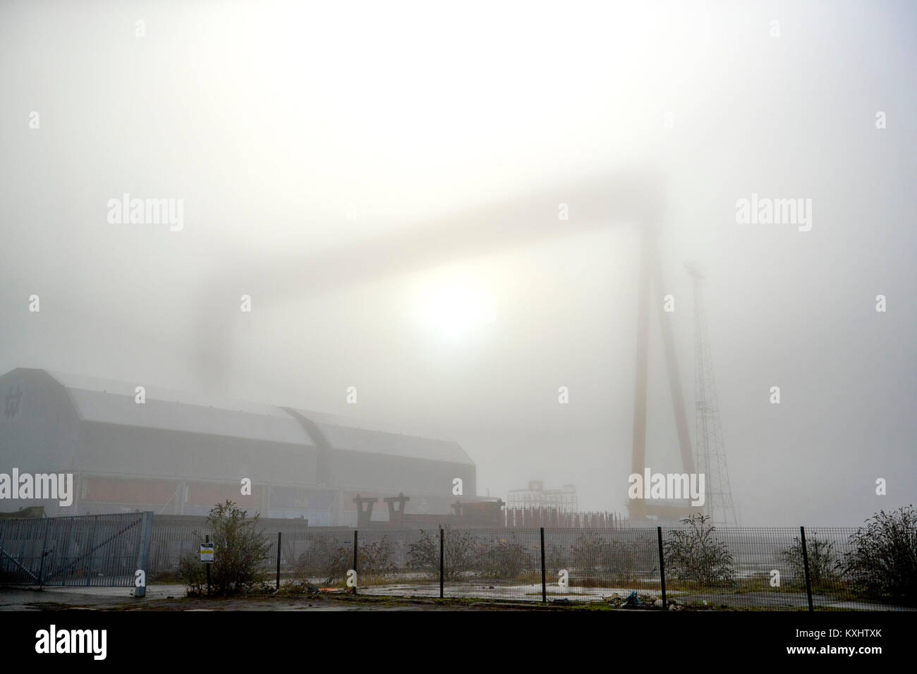 Thick fog covers Belfast's Harland and Wolff cranes Stock Photo - Alamy