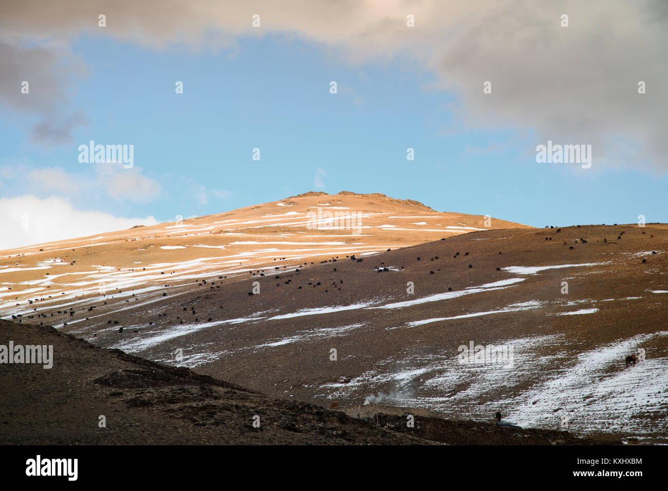 Mongolian landscape snowy mountains snow winter cloudy goat herd ...