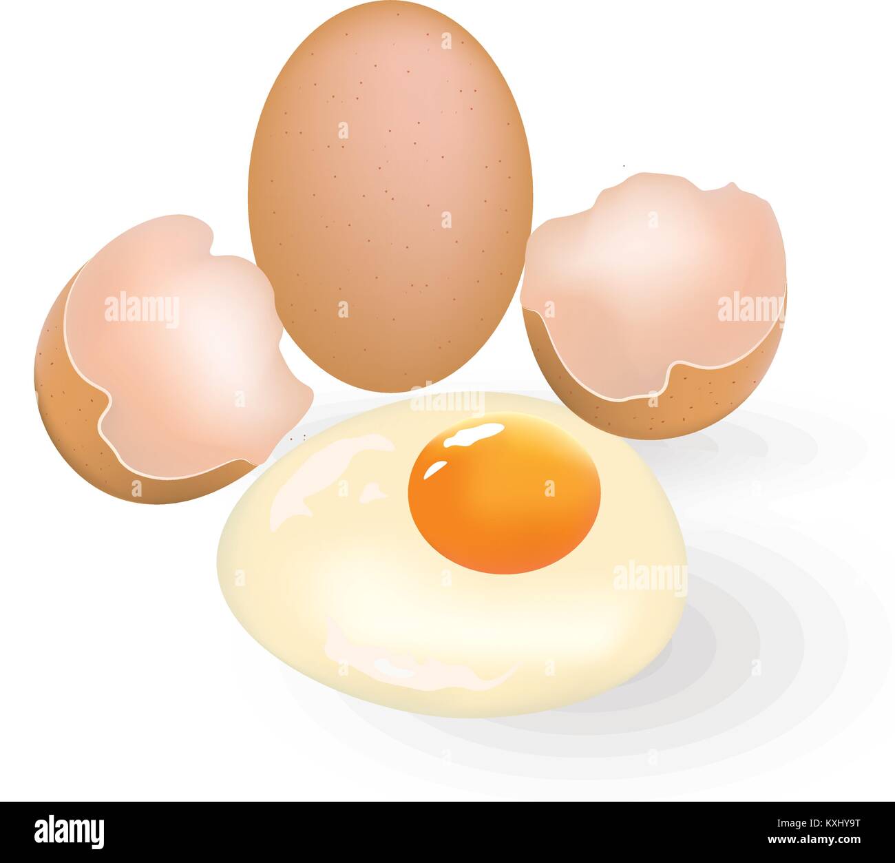 One whole and one cracked egg, vector Stock Vector Image & Art - Alamy