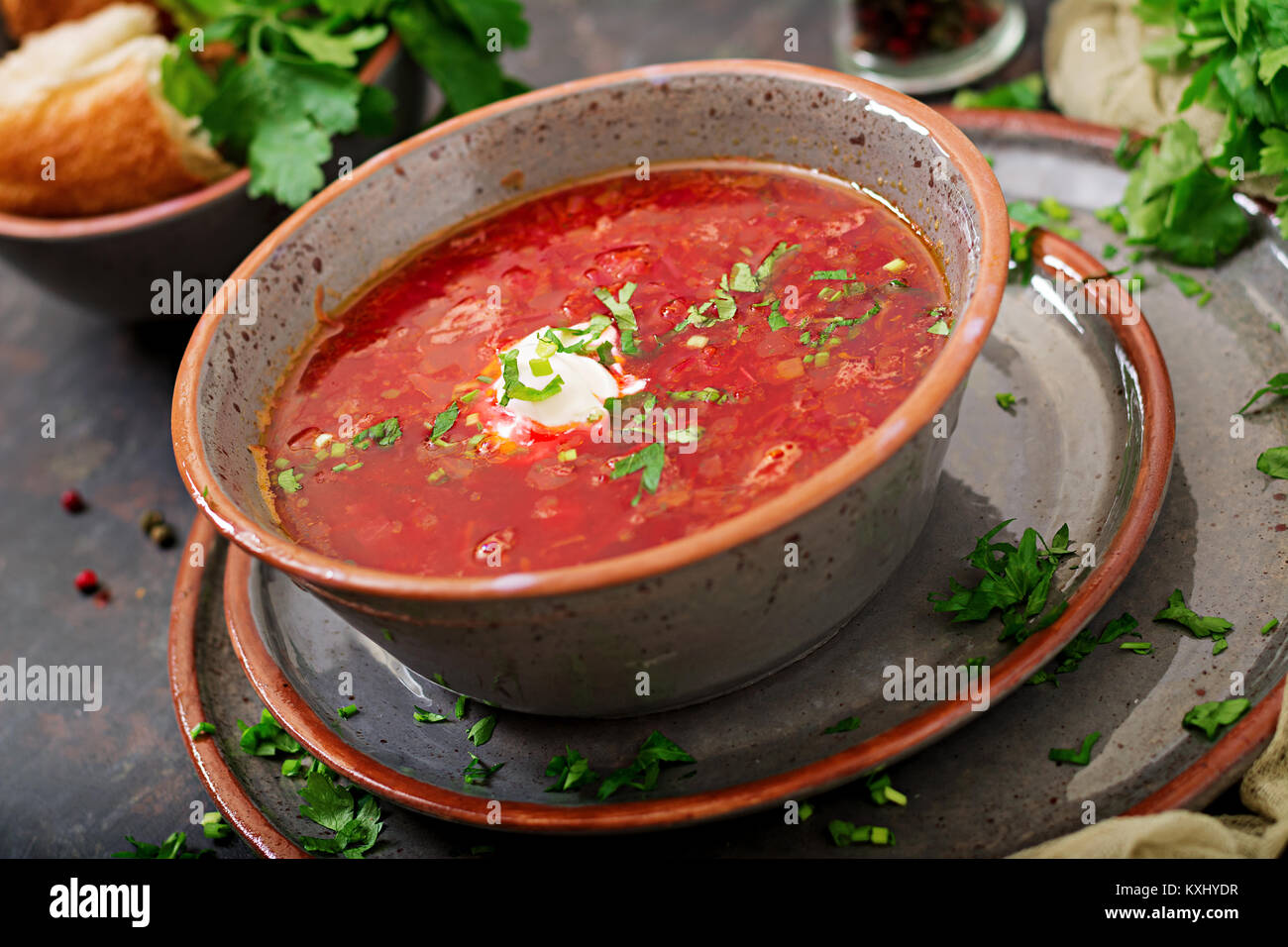 Traditional Ukrainian Russian borscht with beef on the bowl Stock Photo ...