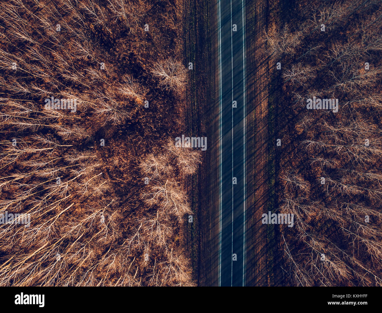 Aerial view of brand new asphalt road through deciduous autumn forest ...