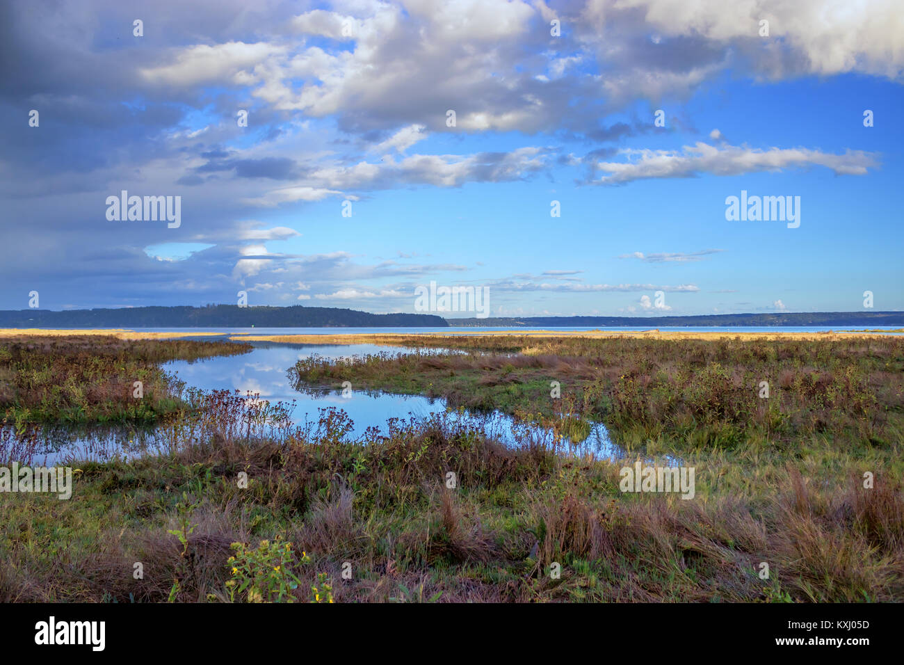 Blue skies over marshland Stock Photo - Alamy