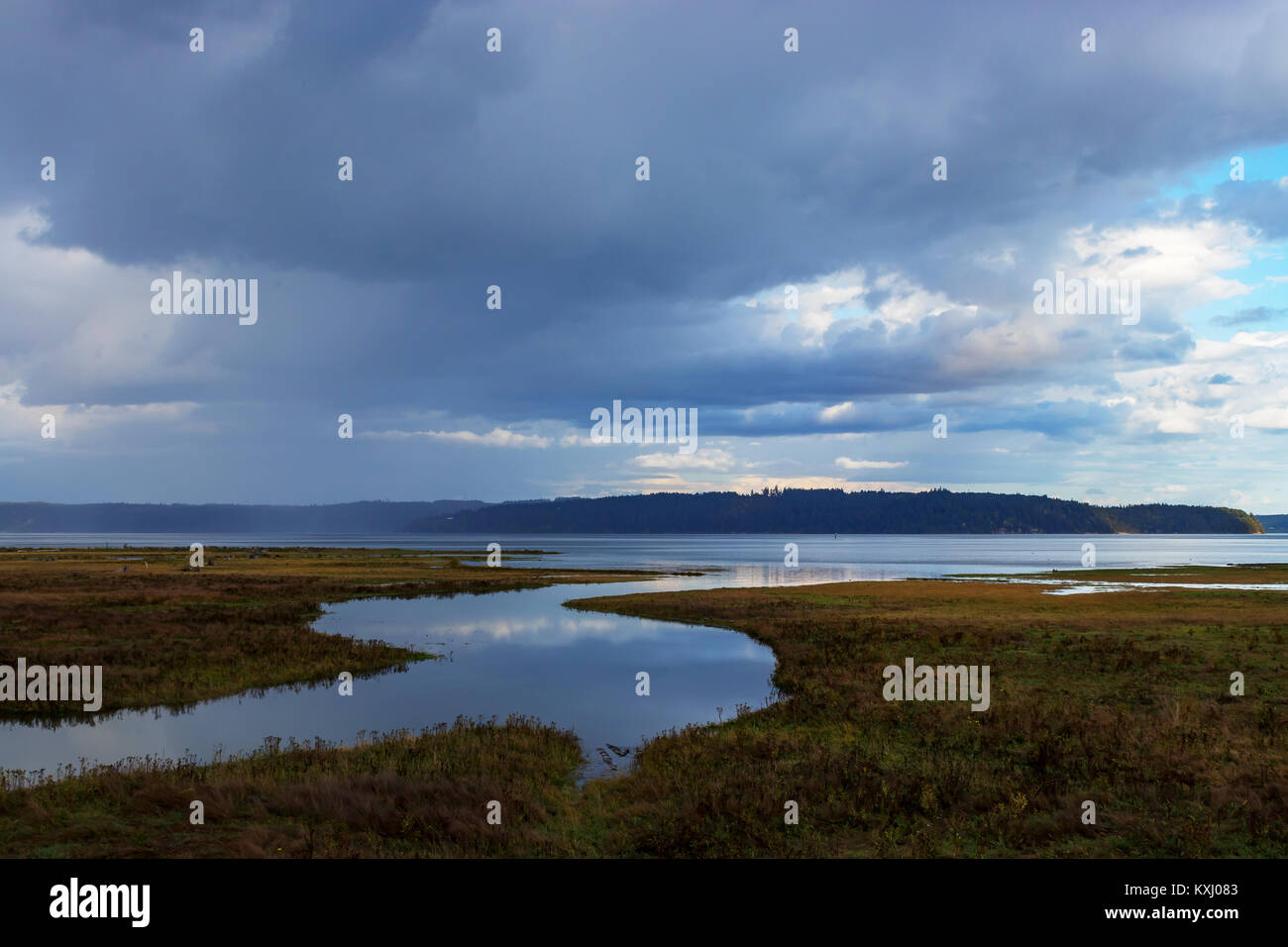 Blue river through marshland Stock Photo - Alamy