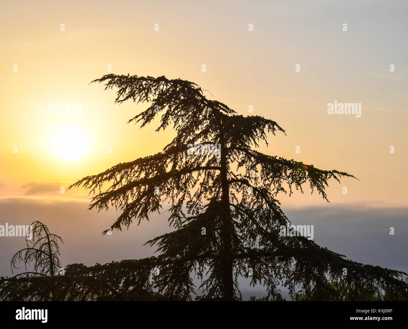 Silueta sun hi-res stock photography and images - Alamy