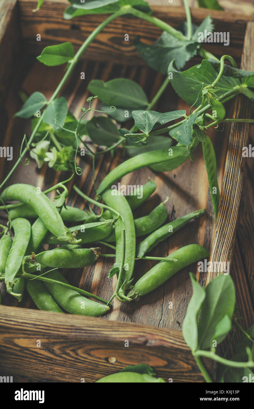 Empty Pea Pods High Resolution Stock Photography and Images - Alamy