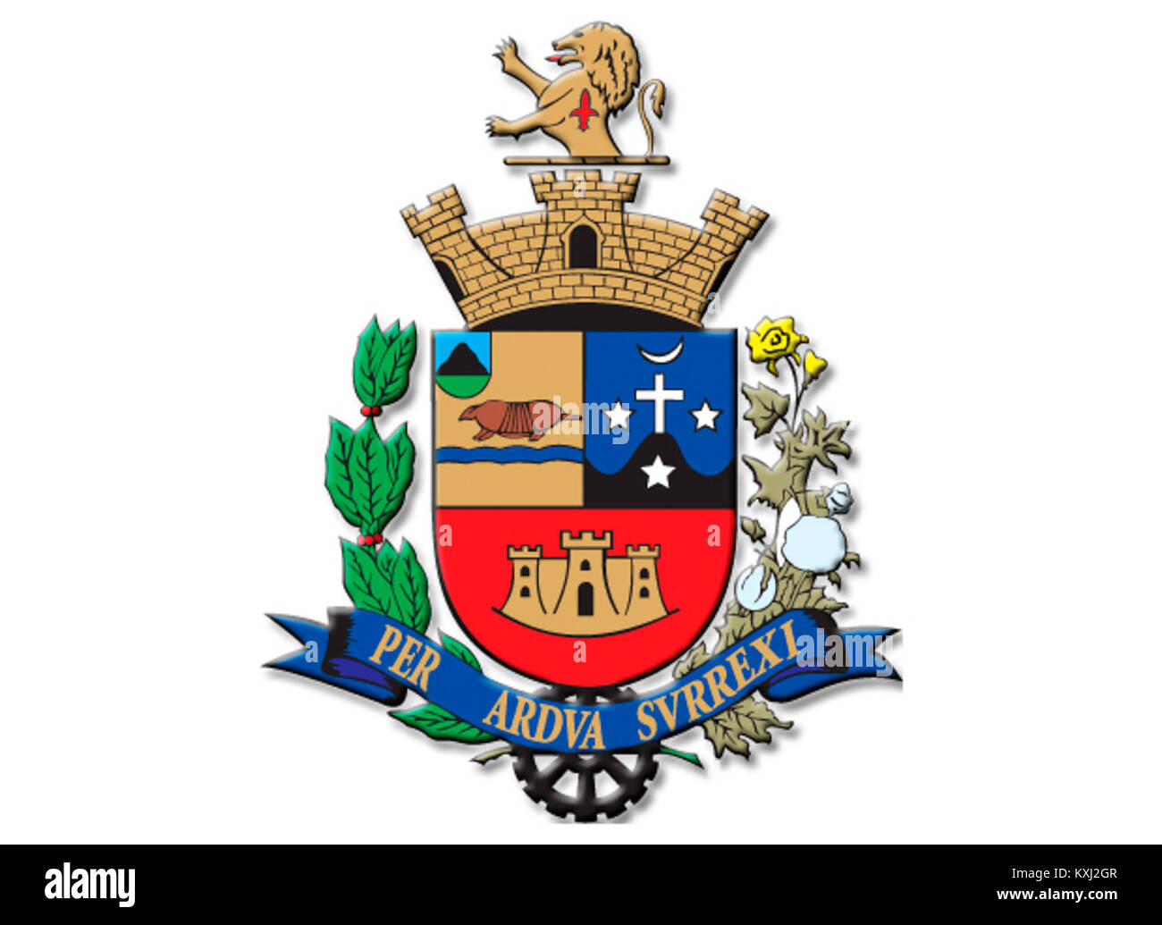 Tatui hi-res stock photography and images - Alamy