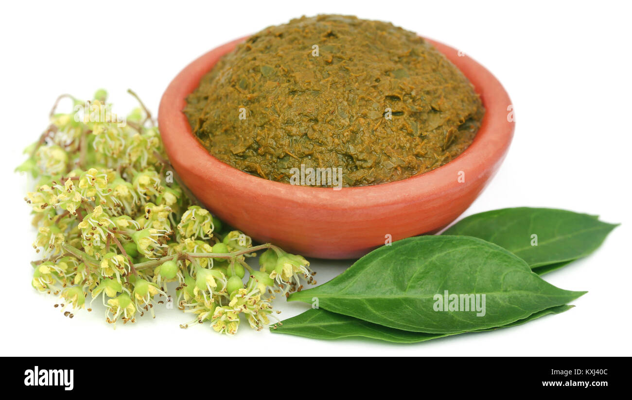 Henna leaves hi-res stock photography and images - Alamy