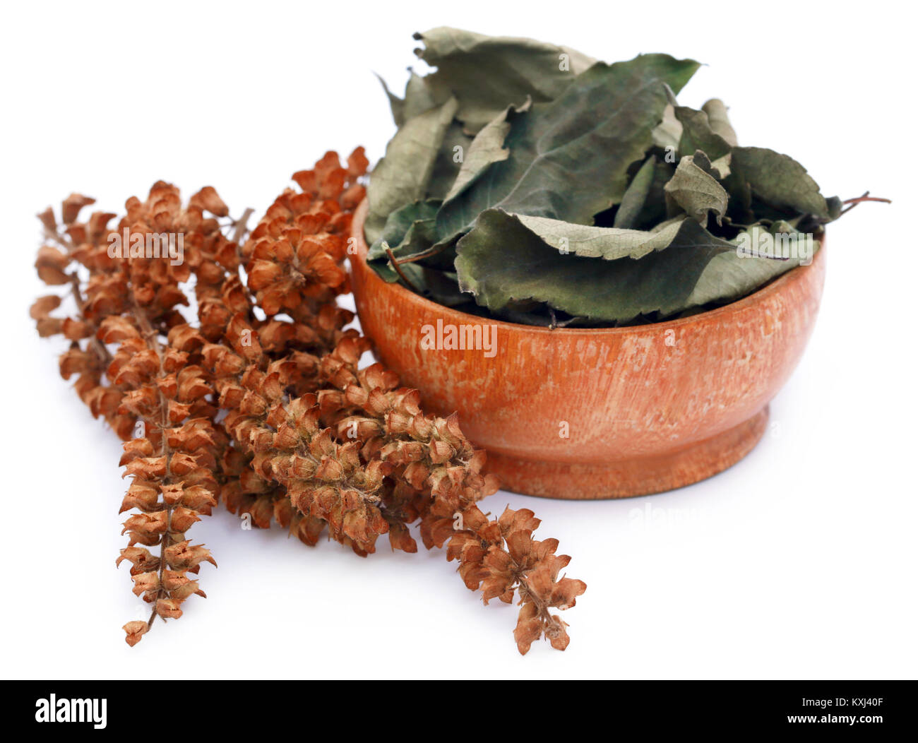Dry holy basil or tulsi leaves with flower over white background Stock ...