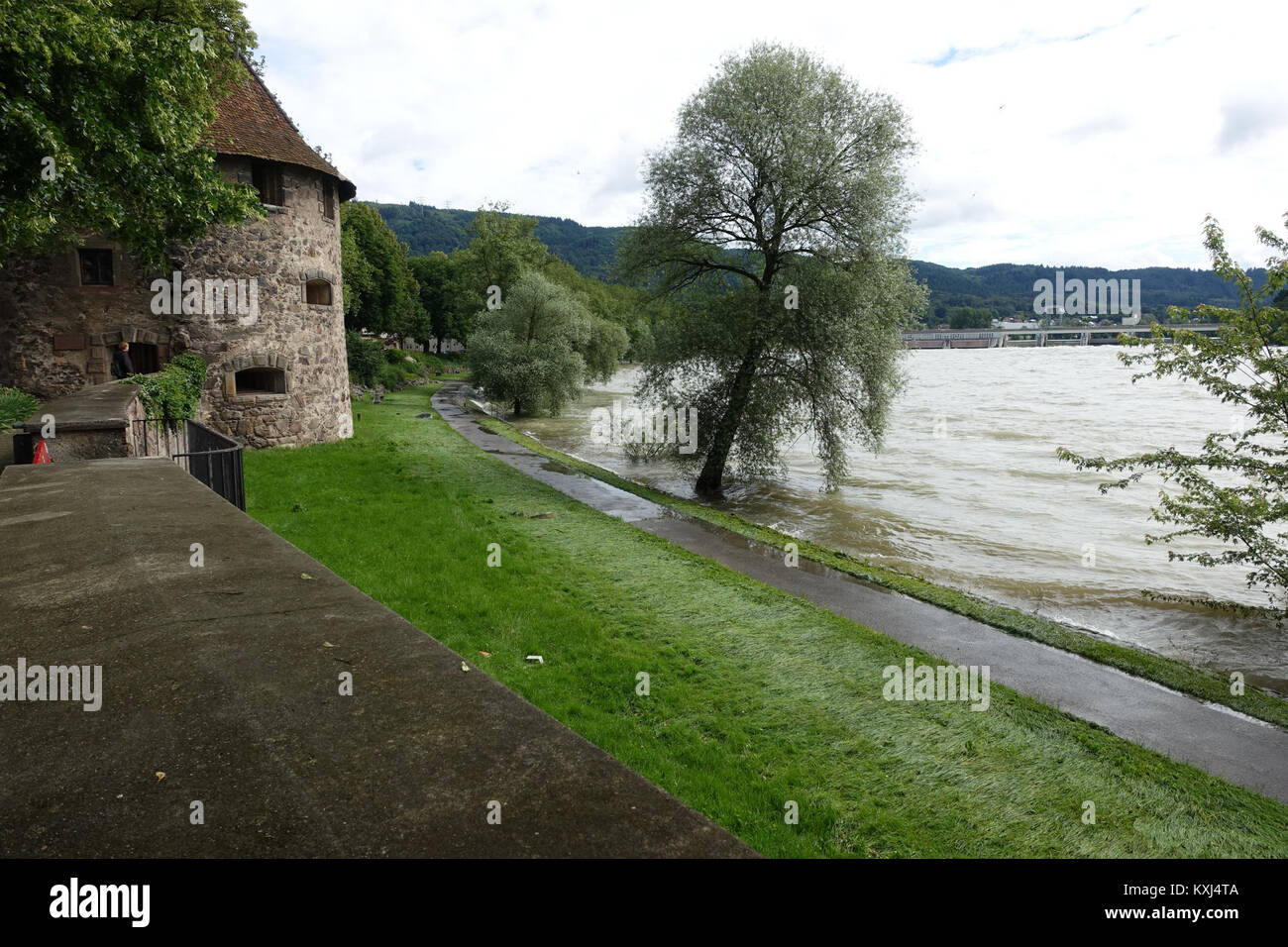 The image from June 2016 shows the aftermath of the Rhine river ...